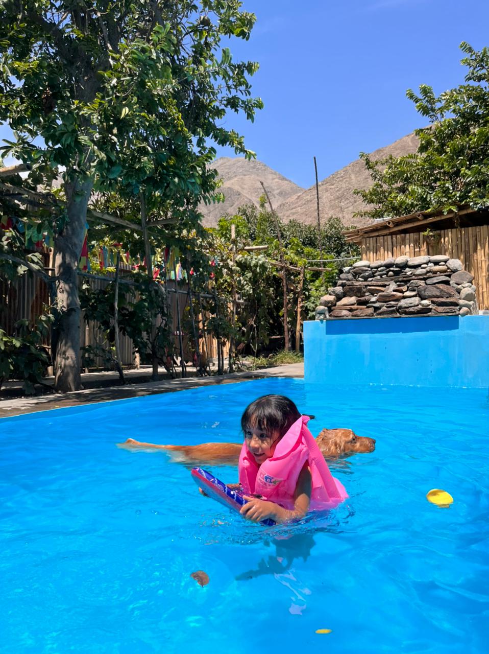 El Depa de Rocko | Primer Portal Inmobiliario Pet Friendly